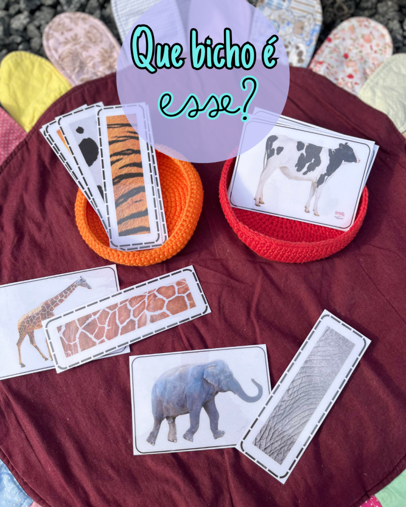 Que bicho é esse? – Loja – Profe Nani